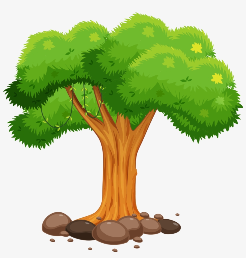 Tree - Cartoon Tree - 1024x1024 PNG Download - PNGkit