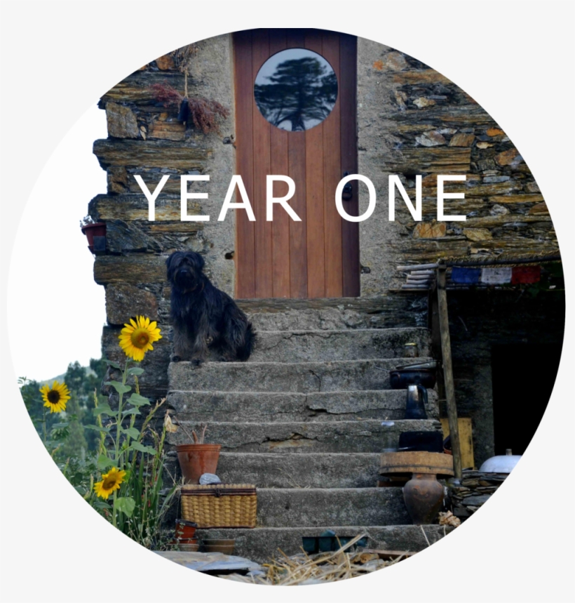 First Two Years, Documented - Wall Clock - 1000x999 PNG Download - PNGkit