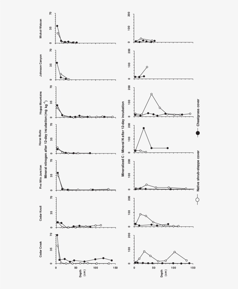 Concentration Of Active Pool N And Active Pool C - Diagram - 556x915 ...