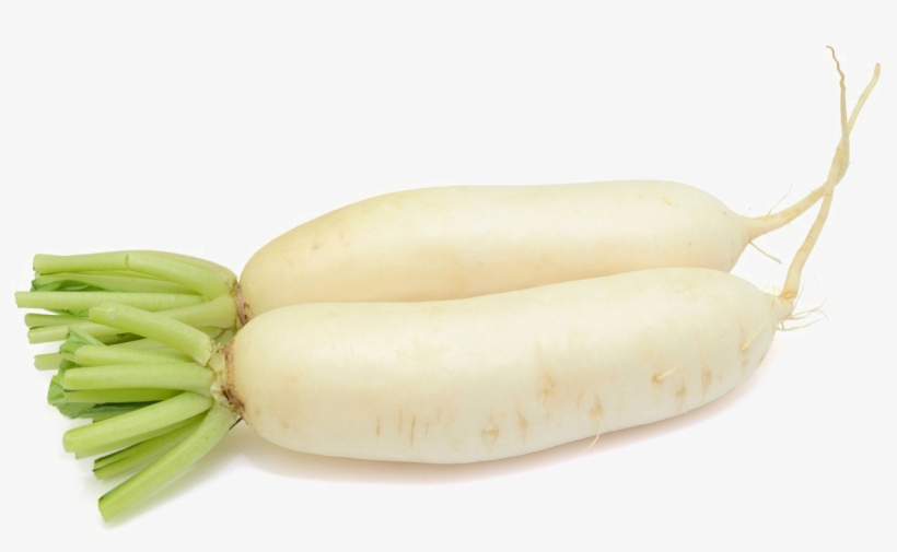 Mooli Png File - Daikon - 1320x770 PNG Download - PNGkit