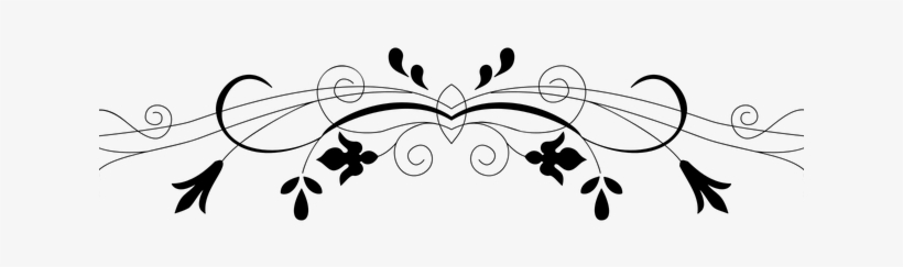 Fancy Horizontal Line