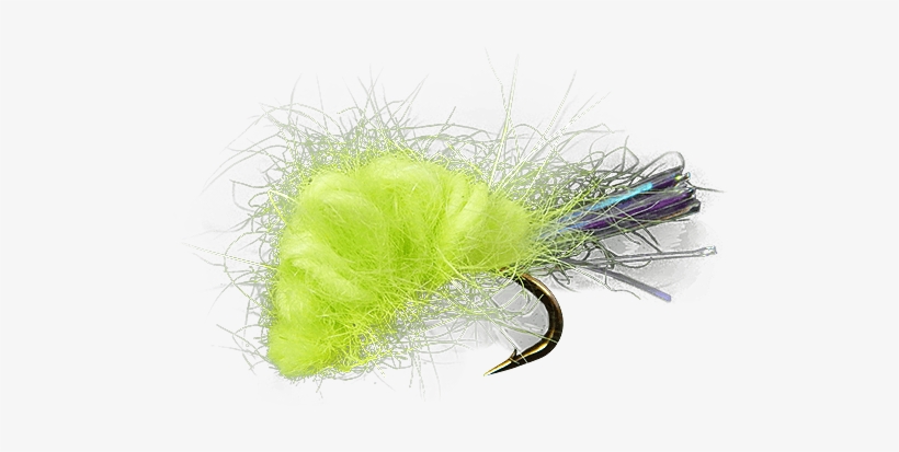 Sucker Spawn - Chartr - - Invertebrate - 555x741 PNG Download - PNGkit