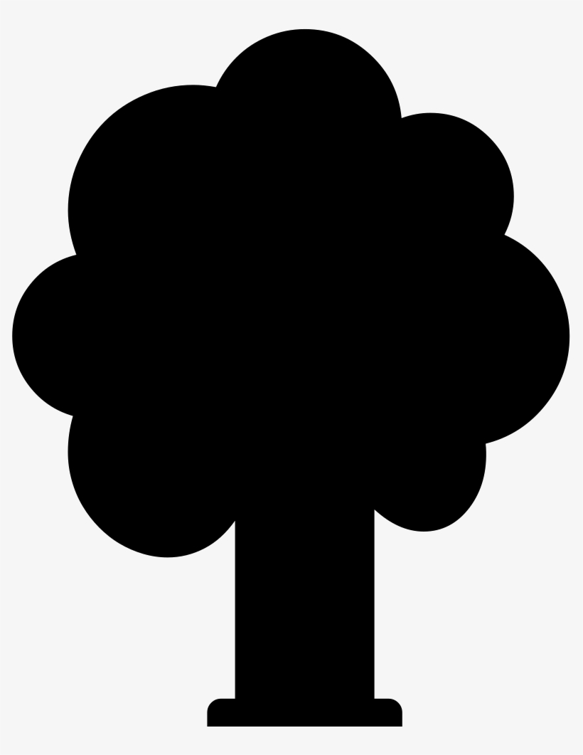 Tree Deciduous Comments - 785x981 PNG Download - PNGkit