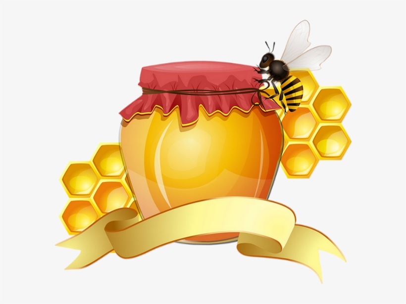 Honey Vector - 600x535 PNG Download - PNGkit