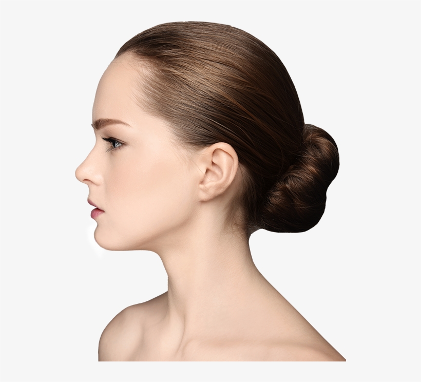 Ear Surgery Model - Bun - 1346x1027 PNG Download - PNGkit