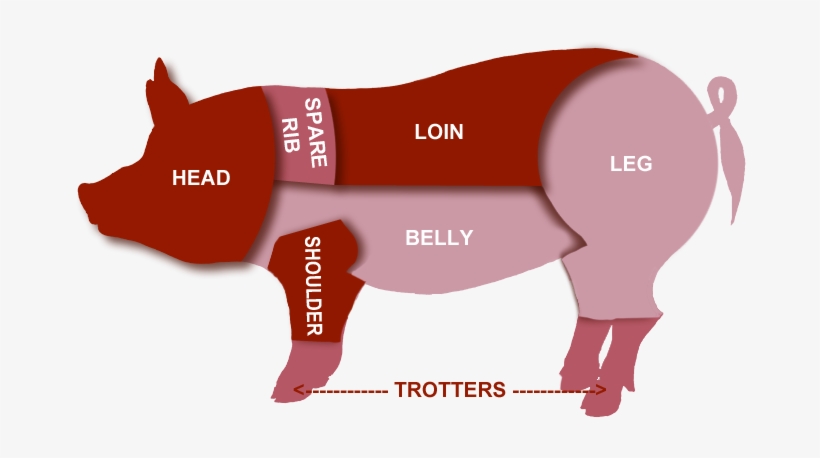 Pork Clipart Pig Butcher - Pork Meat Pieces - 729x490 PNG Download - PNGkit