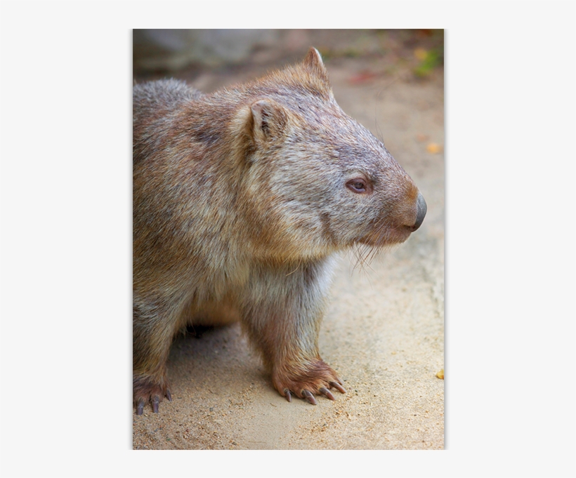 Dialog End - 800x600 PNG Download - PNGkit