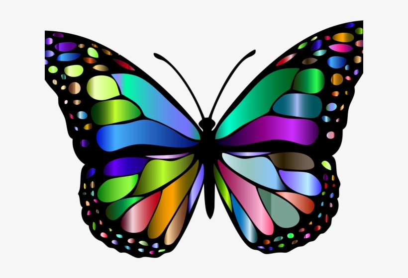 Monarch Butterfly Clipart Png Full Hd - Butterfly Insects - 640x480 PNG ...