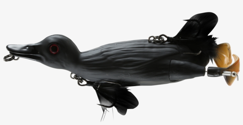 Savage Gear 3d Topwater Suicide Duck Small Animal Wakebait - Savage ...