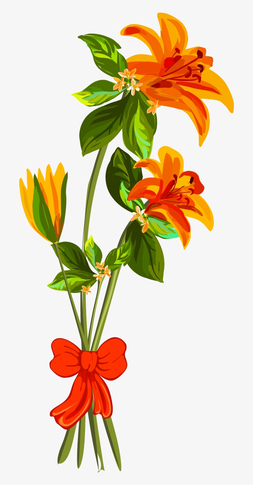 Narciso Ramo Planta Estilo Dibujado A Mano Png E Imagen - Fire Lily ...