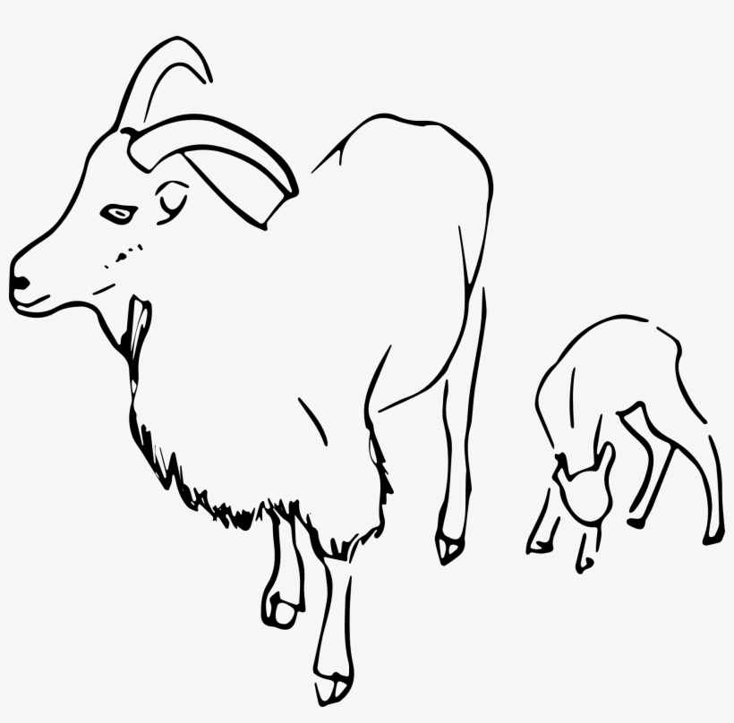 Goat Vector Image - Vector Cabrito - 1920x1800 PNG Download - PNGkit