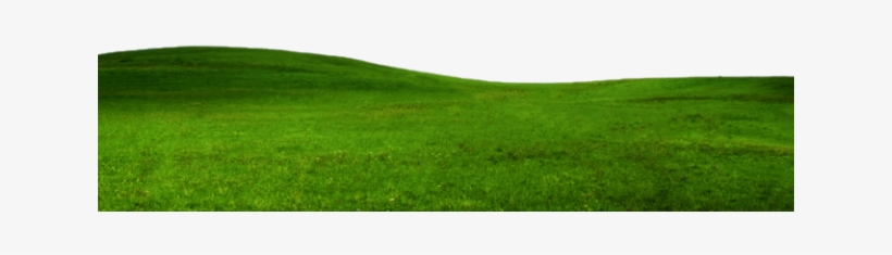 Ground Clipart Grass Plain - Grass - 640x480 PNG Download - PNGkit