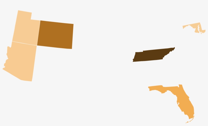 Download Transparent Boston Tea Party Presidential Election Results ...