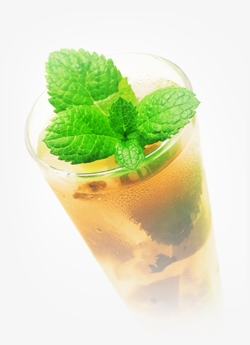 Mint Julep - 1576x1593 PNG Download - PNGkit