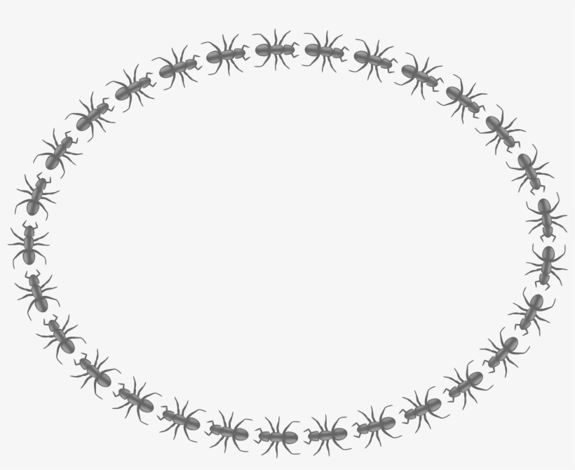 Ant Border Png Clipart Black And White Download - Circle Garland Border ...