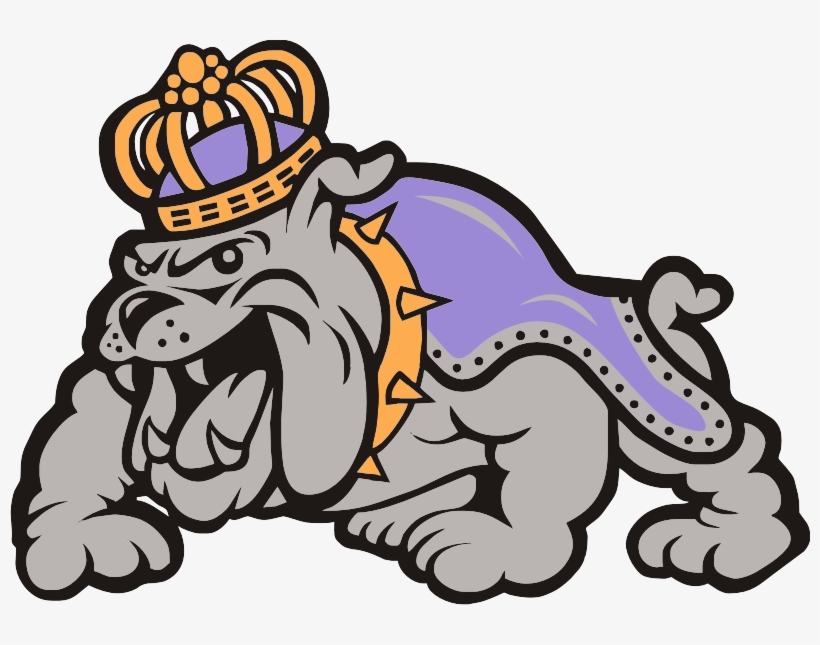James Madison University - James Madison University Duke Dog - 800x565 ...