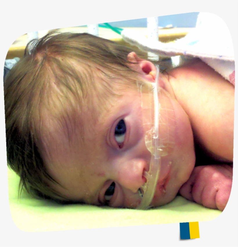 Alex 3a - Baby - 1000x1000 PNG Download - PNGkit