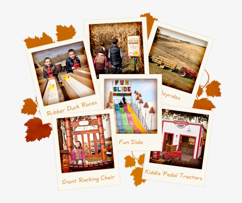Our Fall Field Trip Adventures Include - Craft - 676x636 PNG Download ...