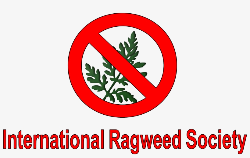 Irs Logo - Emblem - 3000x2250 PNG Download - PNGkit