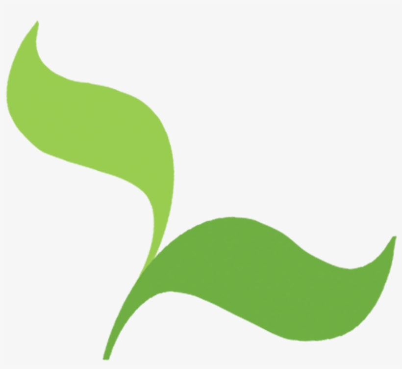 Seedcamp - 1375x1375 PNG Download - PNGkit