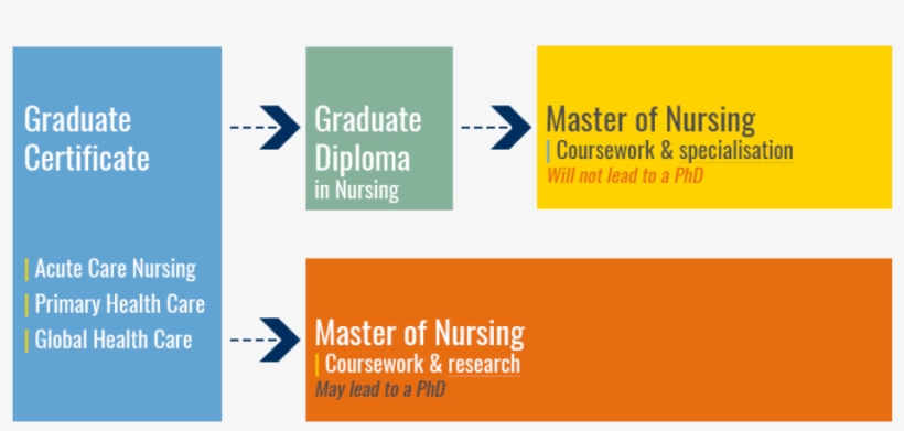 Postgrad Nursing Pathways - Nj State Triathlon - 971x433 PNG Download ...