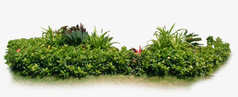 Free Green Grass Psd - 1326x480 PNG Download - PNGkit