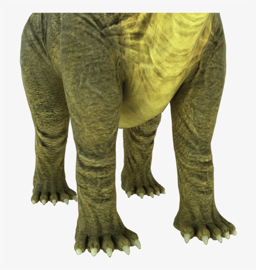 Download Transparent Brontosaurus Apatosaurus 3d Model - Terrestrial ...