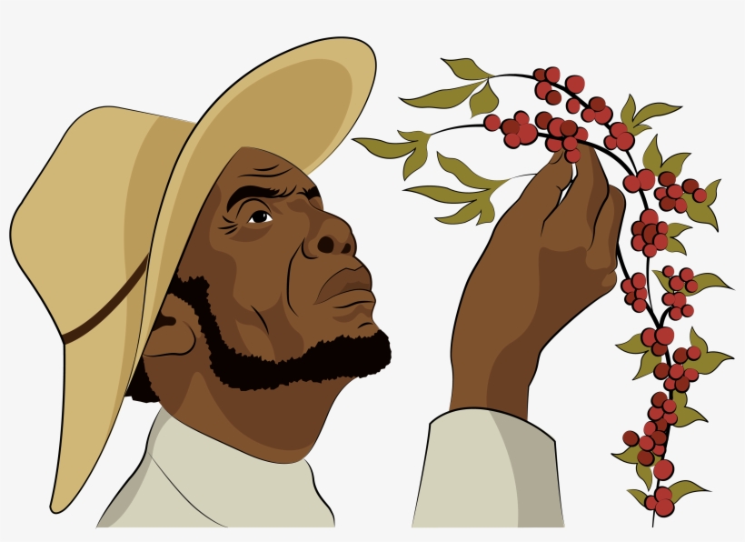 Coffee Roaster Machine Vector - 3508x2480 PNG Download - PNGkit