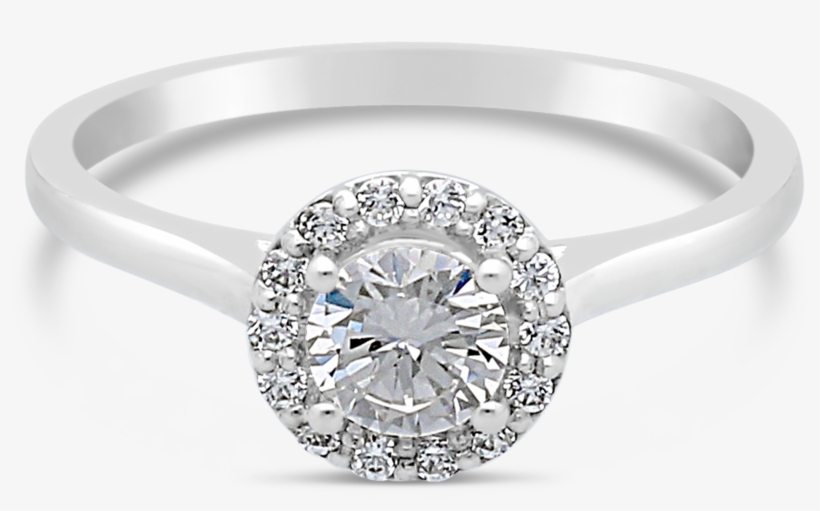 Download Transparent Nwj Rings - PNGkit