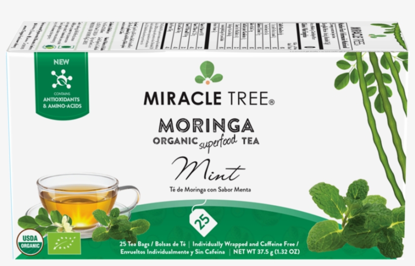 Organic Moringa Superfood Tea, 25 Individually Sealed - Miracle Tree ...