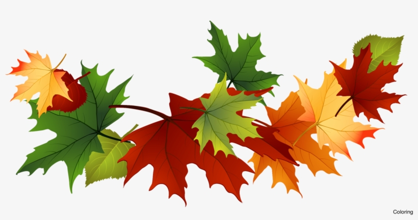 Red Leaf Clip Art