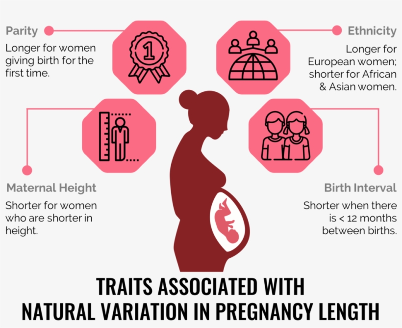 Parity [6,7] , Ethnicity [8,9] - Graphic Design - 1000x779 PNG Download ...