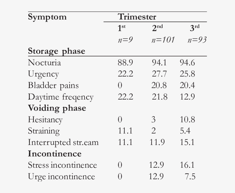 Luts And Trimesters Of Pregnancy - Number - 624x591 PNG Download - PNGkit