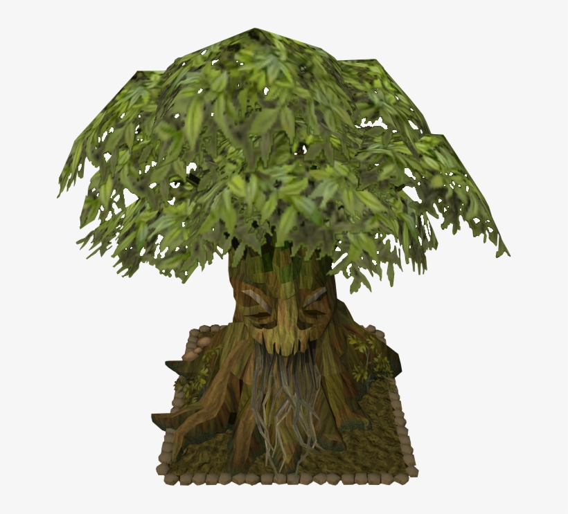Tree - 656x663 PNG Download - PNGkit