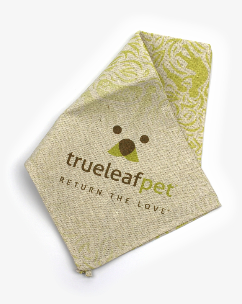 Product Image 1 - Paper - 2000x2000 PNG Download - PNGkit