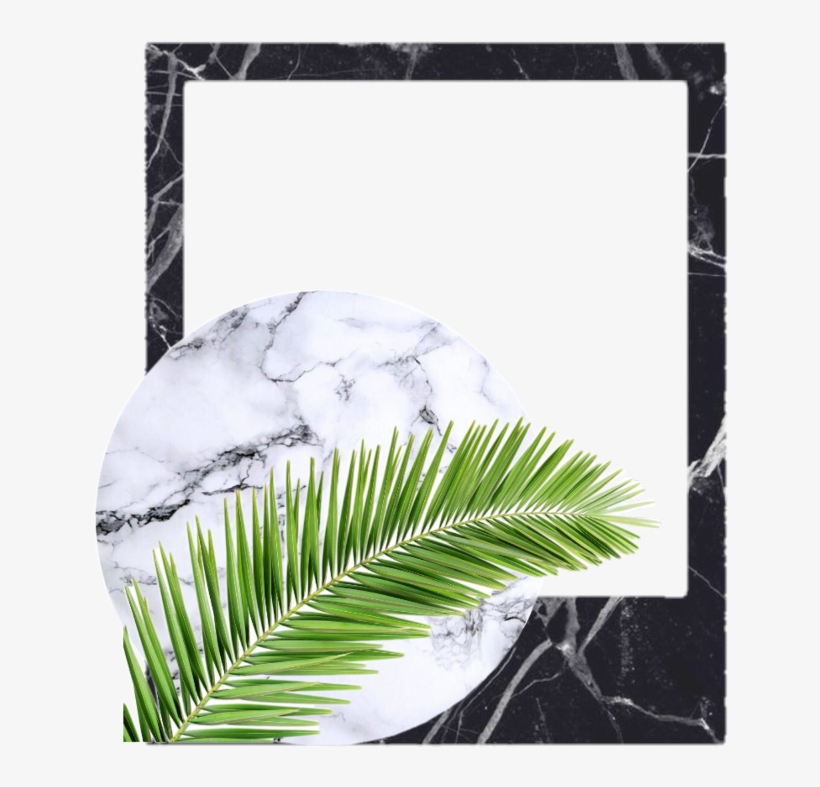 Plants Sticker - Picture Frame - 1024x1024 PNG Download - PNGkit