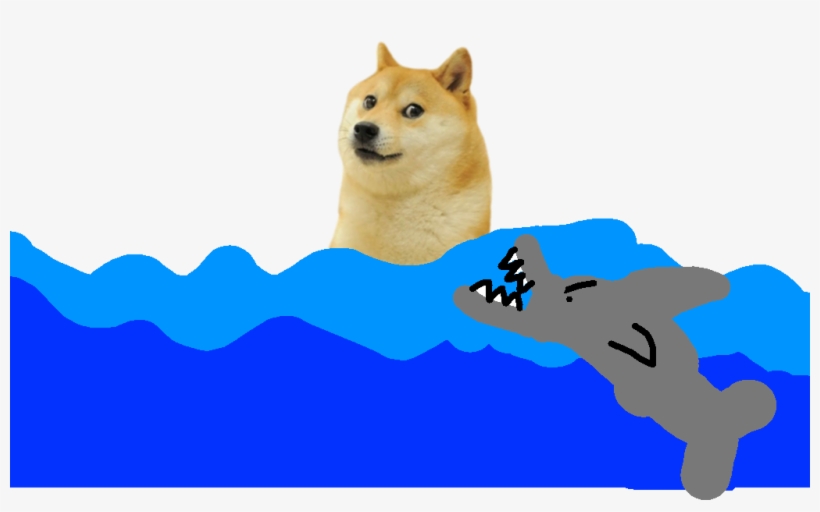 Doge - Shark - Hokkaido - 1024x590 PNG Download - PNGkit