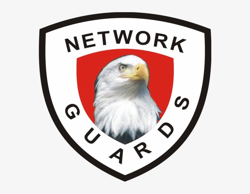 Network Guards Limited - Bald Eagle - 566x557 PNG Download - PNGkit