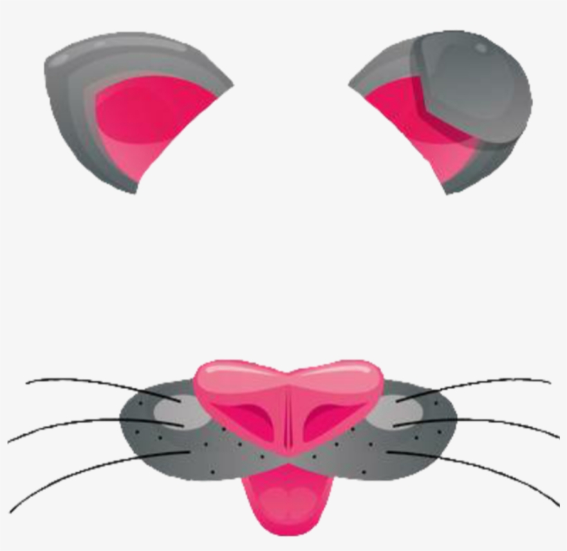 Snapchat Sticker - Face - 1024x1014 PNG Download - PNGkit