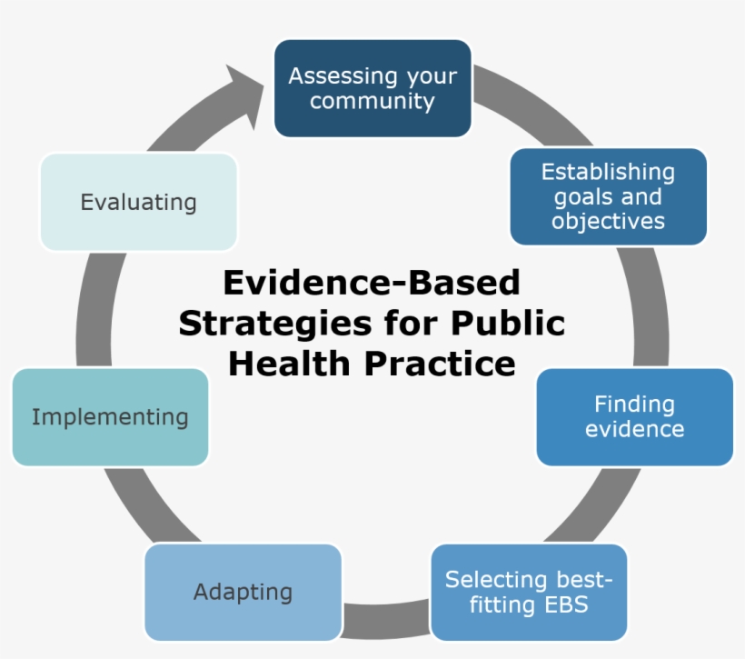 Ebs Training Framework - Health - 1447x907 PNG Download - PNGkit