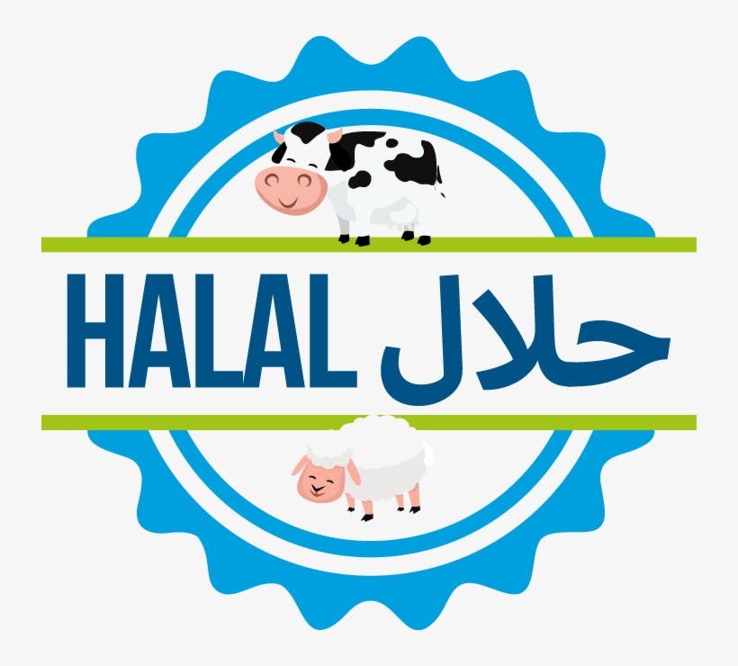 Halal Lakkis 02 - Cloud Wire Ss316 - 728x660 PNG Download - PNGkit