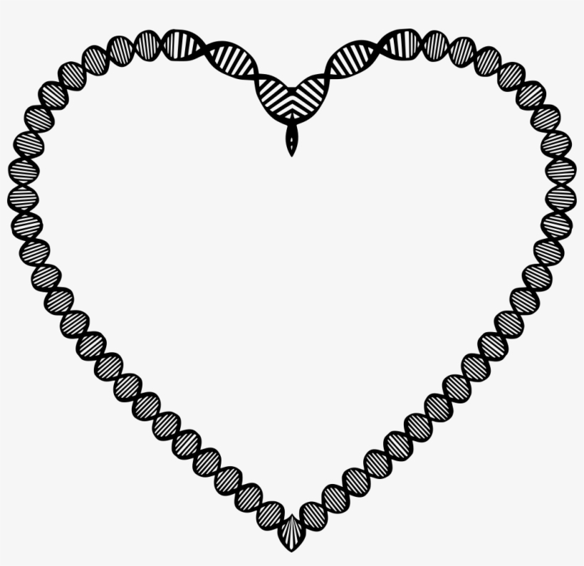 Download Png - Dna Heart - 1024x942 PNG Download - PNGkit