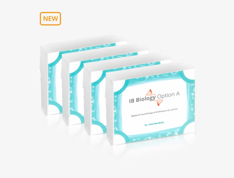 Ib Physics Flashcards - 600x600 PNG Download - PNGkit