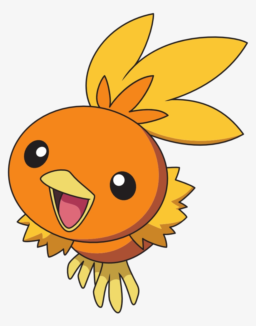 Pokemon Torchic Best Nature - Cartoon - 848x1199 PNG Download - PNGkit