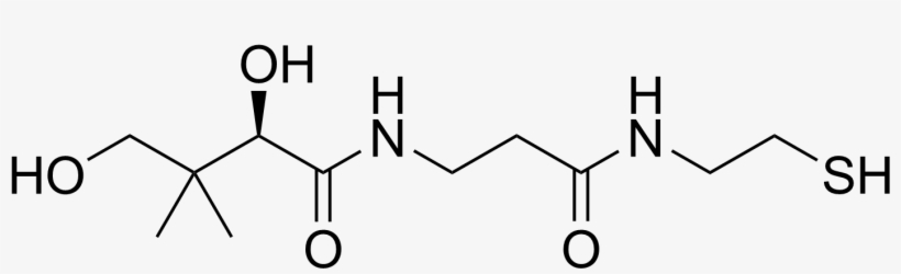 Pantetheine Structure - Betaine Hydrochloride - 1439x377 PNG Download ...