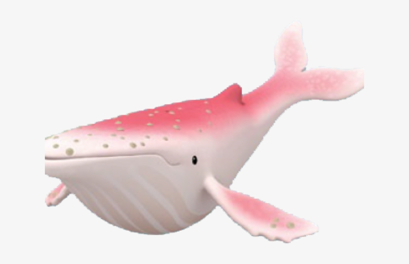 Octonauts Whale - 640x480 PNG Download - PNGkit