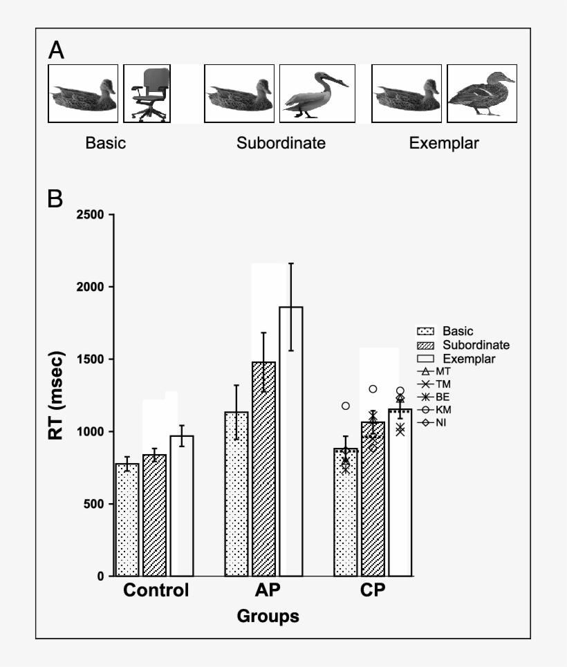 Download Transparent Examples Of Stimuli From Object Experiment ...