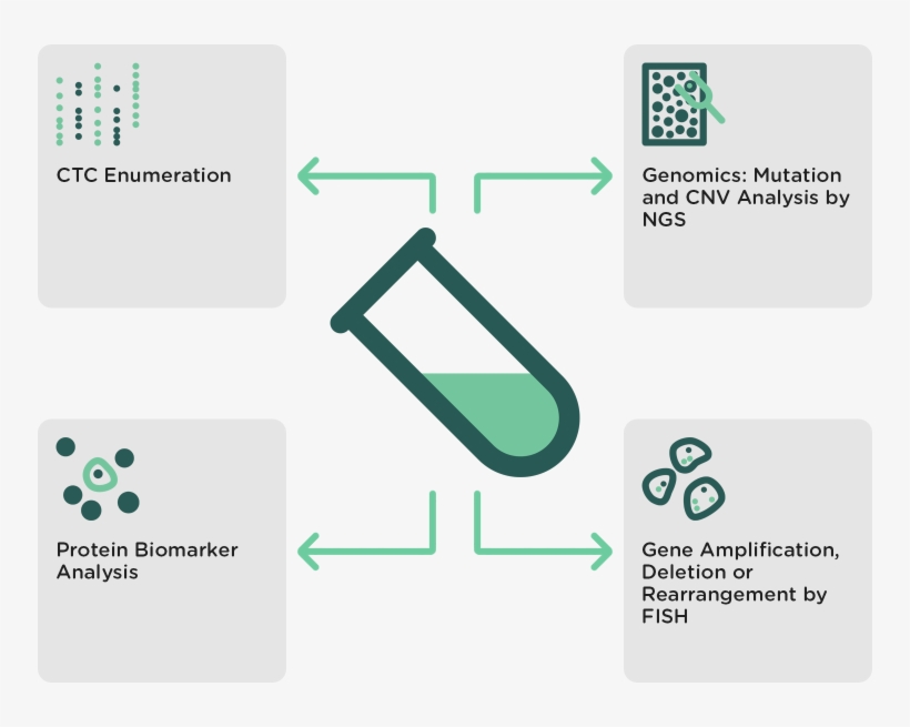 Ctc Detect Charact 2x - Epic Sciences Ctc Platform - 752x575 PNG ...