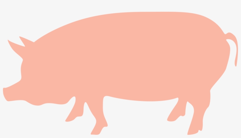 Pig Shadow Pig - Pig Png Shadow Clipart - 952x500 PNG Download - PNGkit
