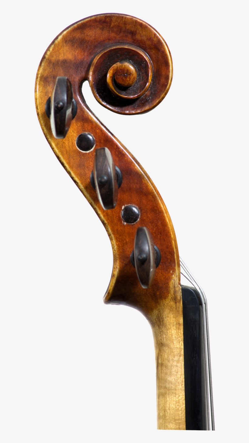 Classic5 Scroll - Violin - 1000x1600 PNG Download - PNGkit